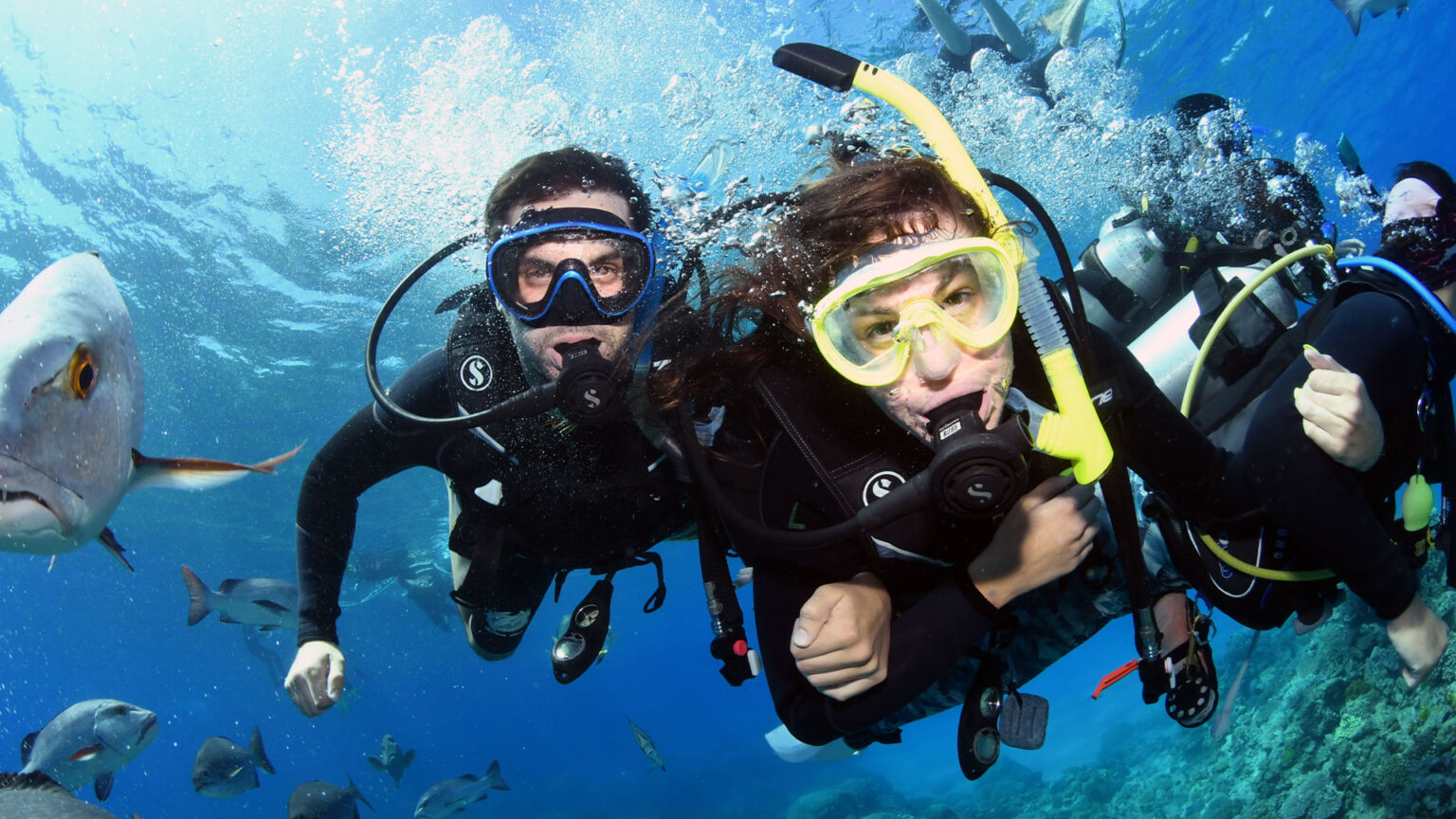 Introductory Dive Cairns – Tusa Reef Tours
