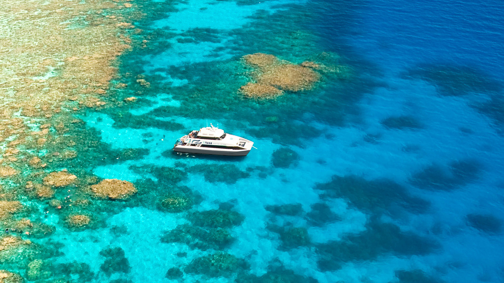 Contact Us - Tusa Reef Tours